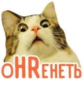 Стикеры телеграм «HR-stickers Star-staff» (HRstickersStarstaff)