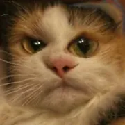 Стикеры телеграм «Cringing» (podtashnivaetspack)